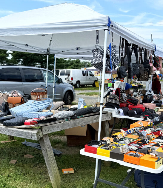 flea virginia fills bargains ftr