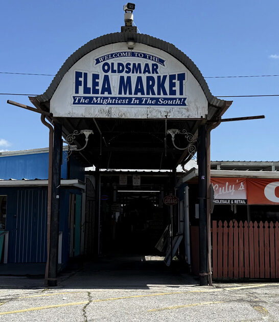 florida backseat flea bargains ftr