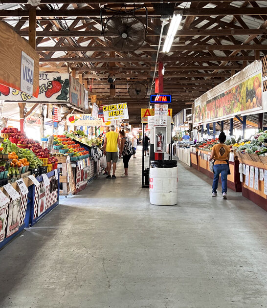 florida bargain flea markets ftr