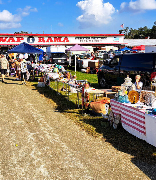 florida bargain hunting market ftr