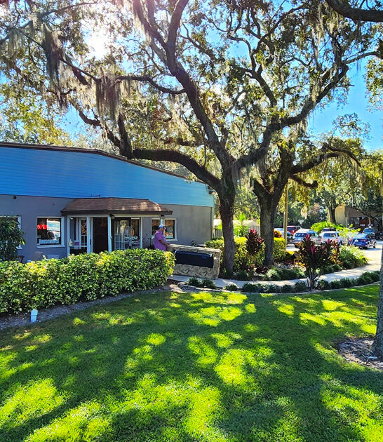 florida bargains underrated shop FTR