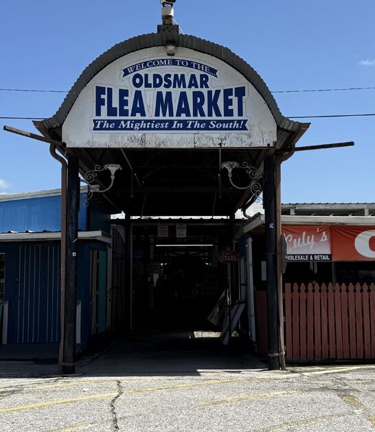 florida bazaar enormous ftr