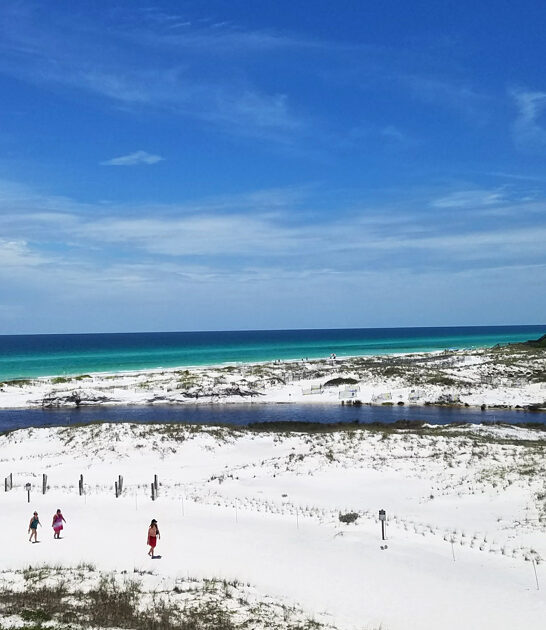 florida beach peaceful dreamy ftr