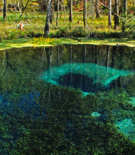 florida beautiful spring unreal ftr