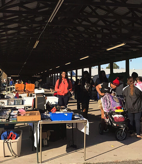 florida best bargains flea ftr