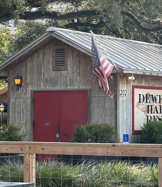 florida best seafood experience ftr