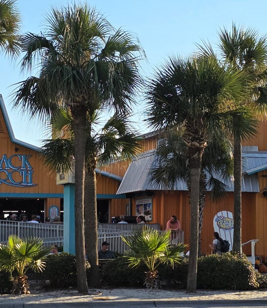 florida best tasting seafood ftr