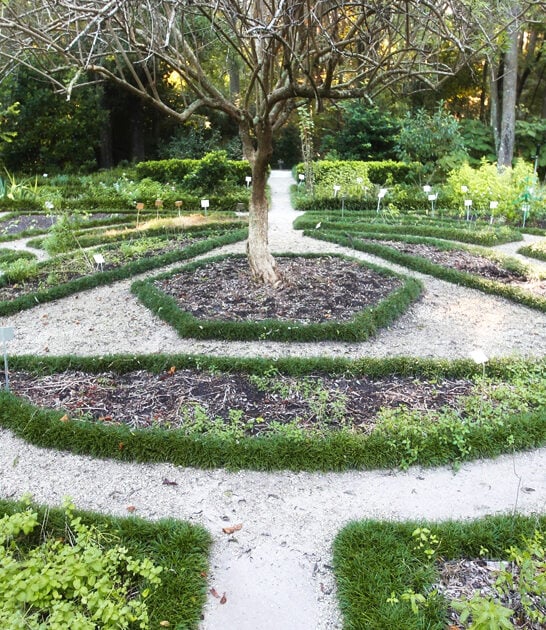 florida botanical garden beautiful ftr