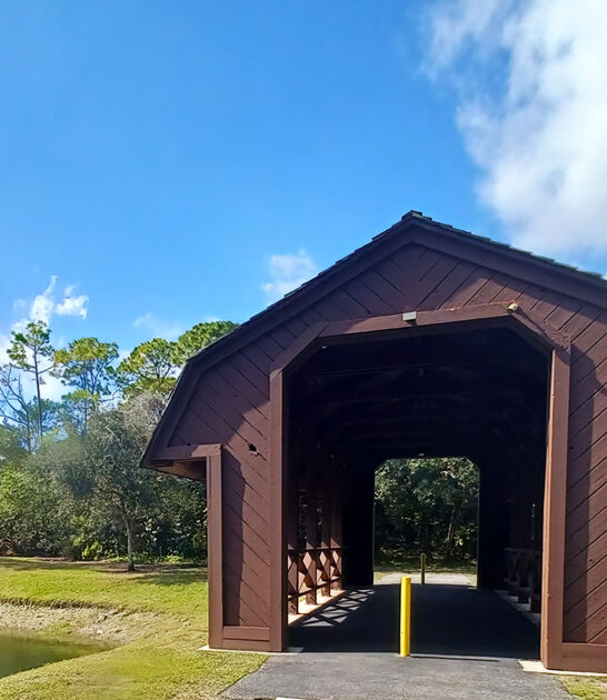 florida bridge timeless experience ftr