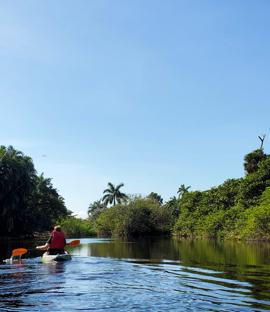 florida calm nature park ftr