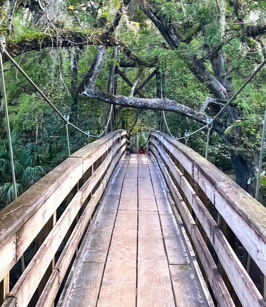 florida captivating state park ftr