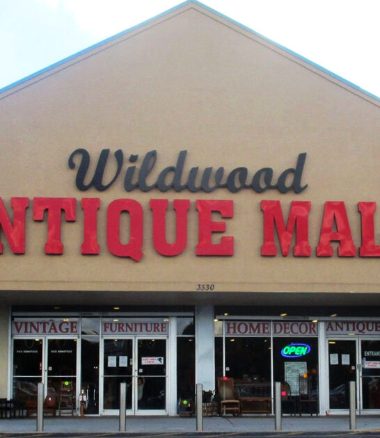 florida collector dream shops ftr