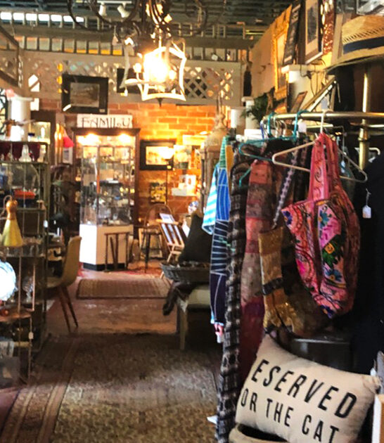 florida collector store antique ftr