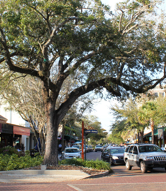 florida comfortably live dreamy ftr