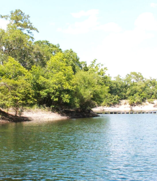 florida dreamy spring natural ftr