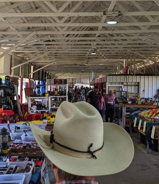 florida enormous market trunk ftr