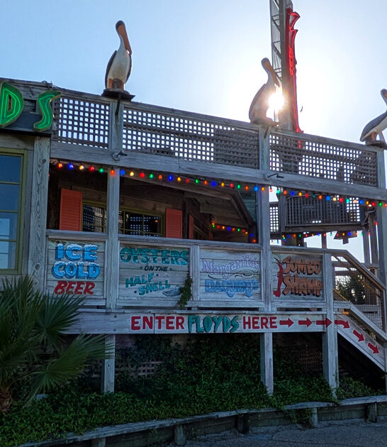 florida fish tacos tasty ftr