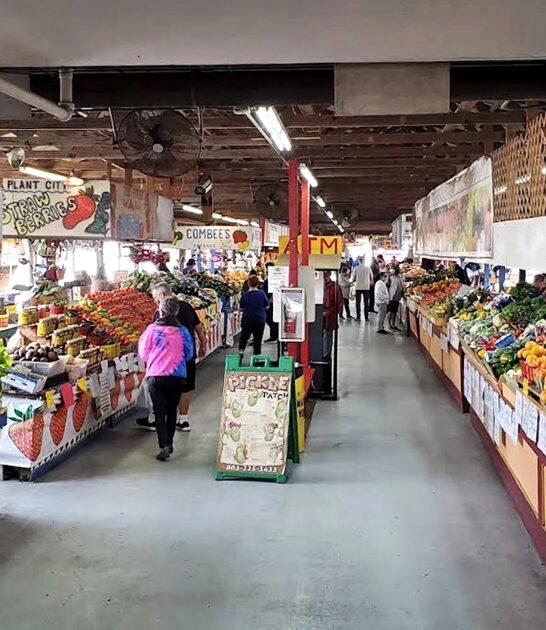 florida flea market adventure ftr