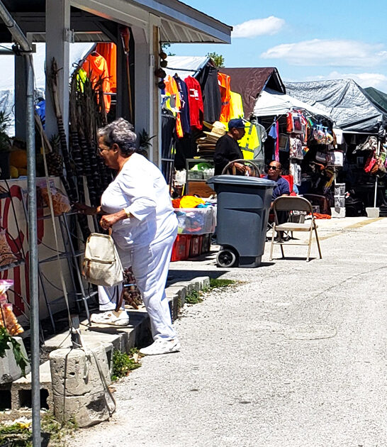 florida flea market wondrous ftr