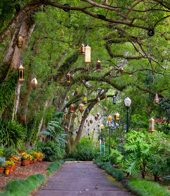 florida garden botanical experience ftr