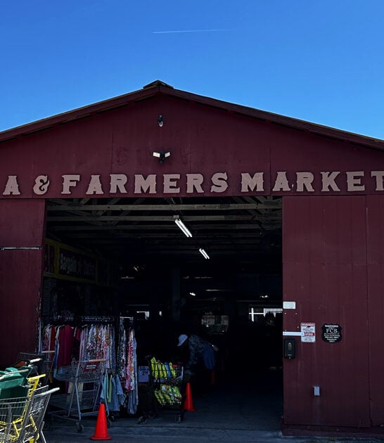 florida gems swap meet ftr