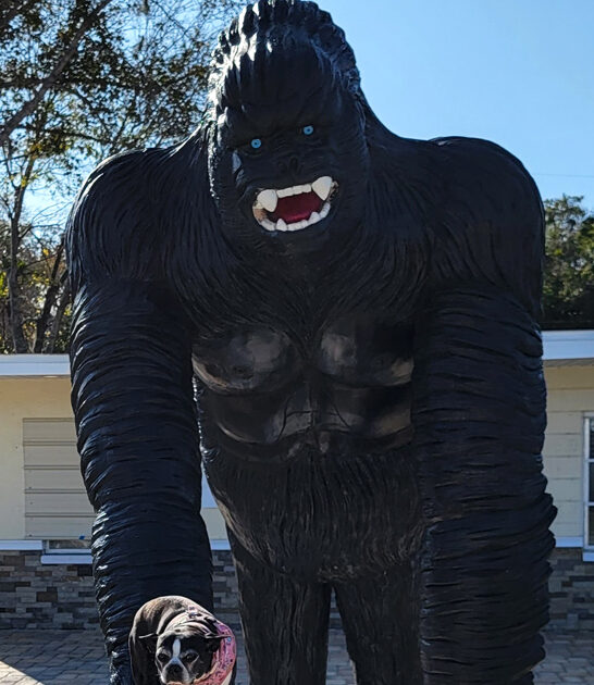 florida gigantic roadside attraction ftr