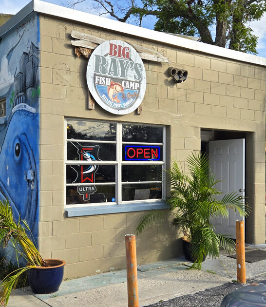 florida grouper sandwich restaurants ftr