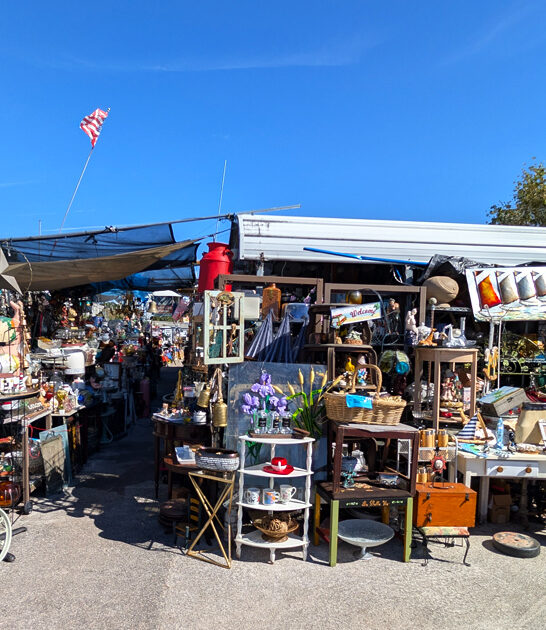 florida inexpensive rare finds ftr