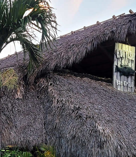 florida life seafood joint ftr