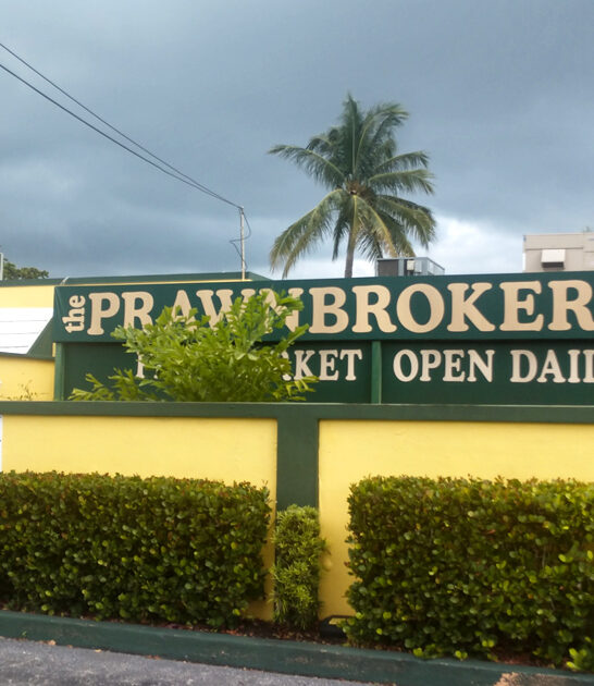 florida local raw oysters ftr