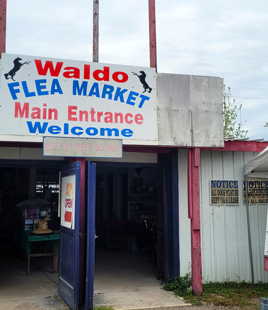 florida market flea wonderland ftr