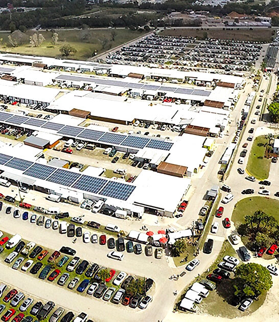 florida market huge flea ftr