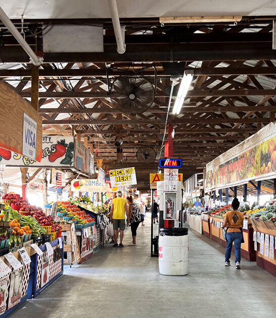 florida market treasure hunting ftr