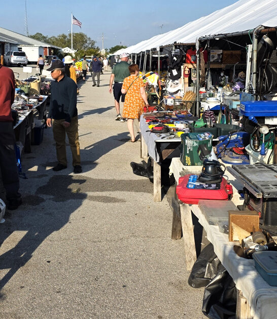 florida massive budget bazaar ftr
