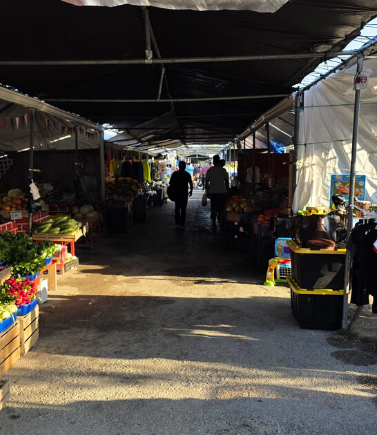 florida massive shopping bazaar ftr