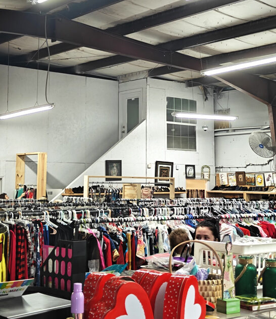 florida massive thrift place ftr