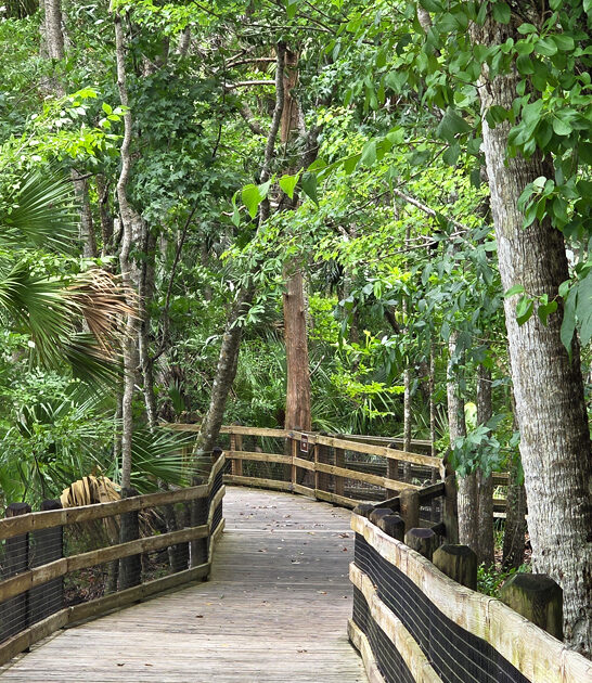 florida natural wonders park ftr