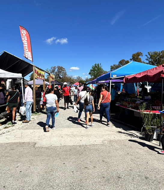 florida outrageous swap bargains ftr