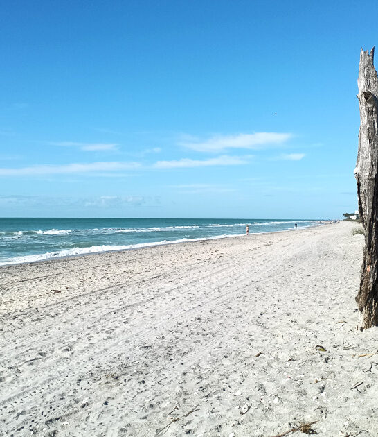 florida park scenic hidden ftr