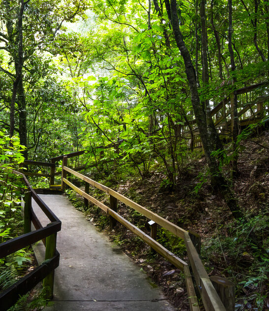 florida people park state ftr