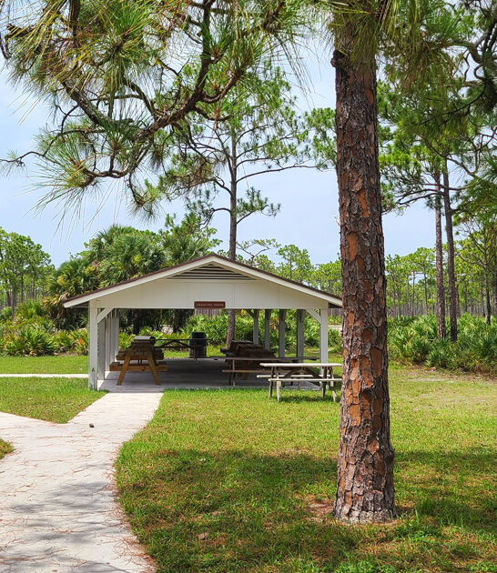 florida picturesque postcard park ftr
