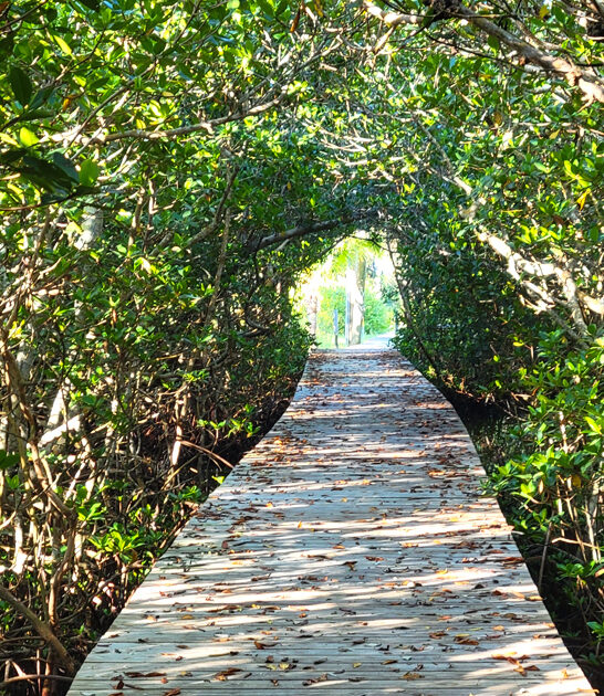 florida remote state park ftr