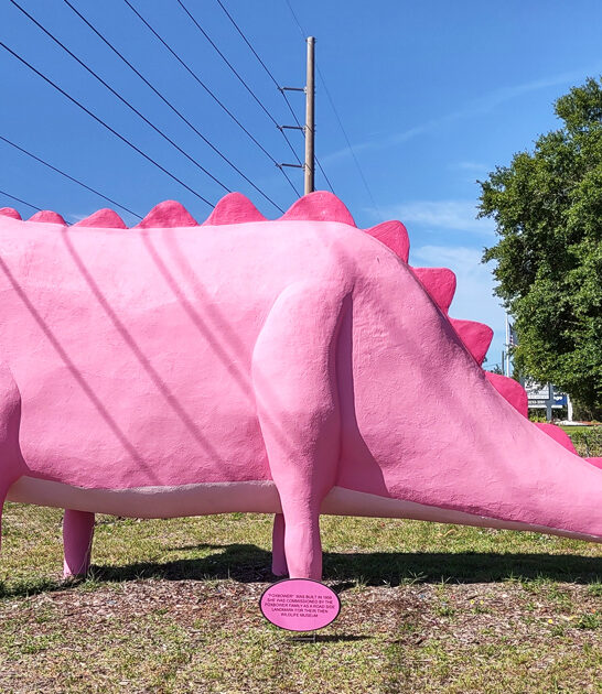 florida roadside attraction curiosities ftr