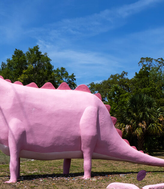 florida roadside attraction travel ftr