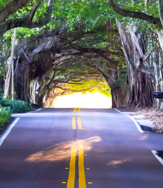 florida scenic drive experience ftr