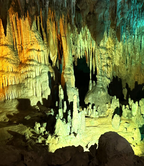 florida state park incredible ftr