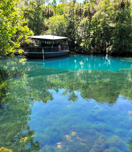 florida state park relaxing ftr
