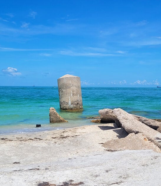 florida stunning park view ftr