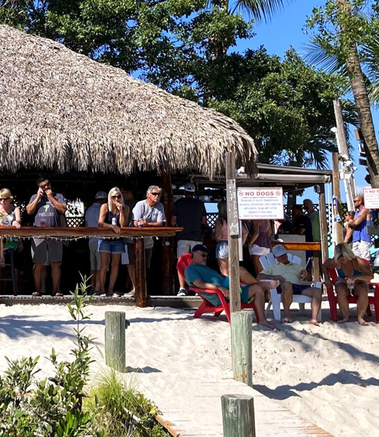 florida tiki bar favorite ftr