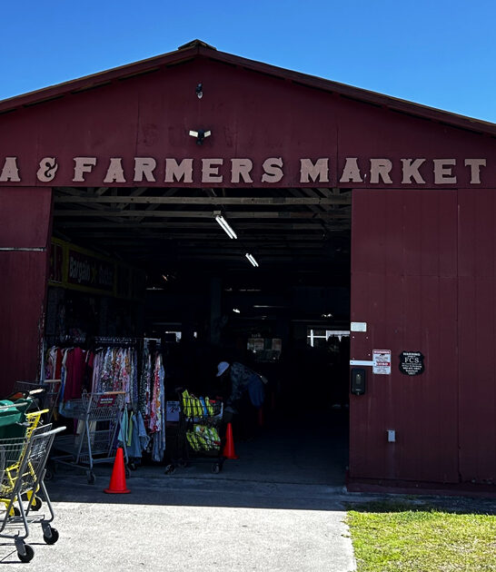 florida wish massive market ftr